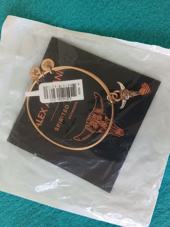 Alex and Ani | Jewelry | Alex And Ani Skull Bracelet | Poshmark